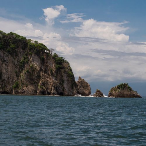 Ayahuasca Retreat Food and ayahuasca dieta